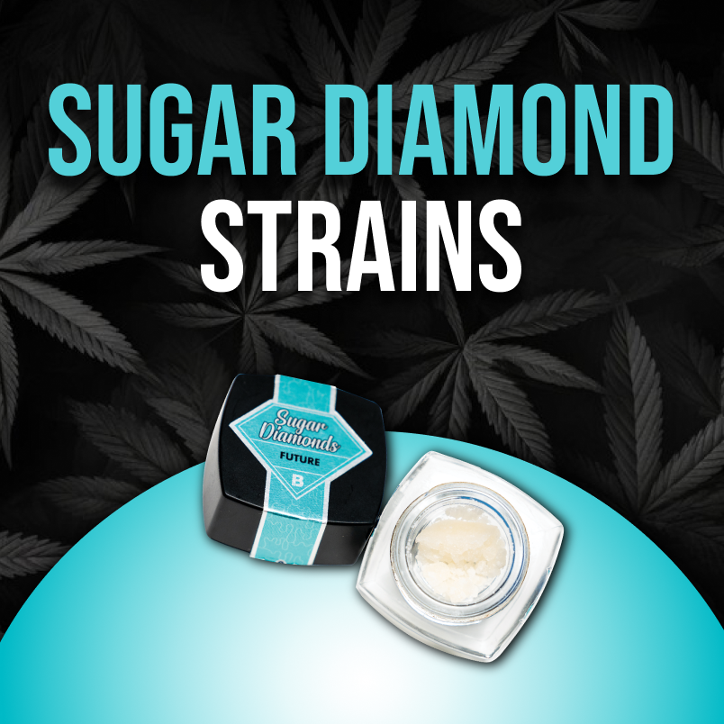 SUGAR DIAMONDS BADDER – Blinkers